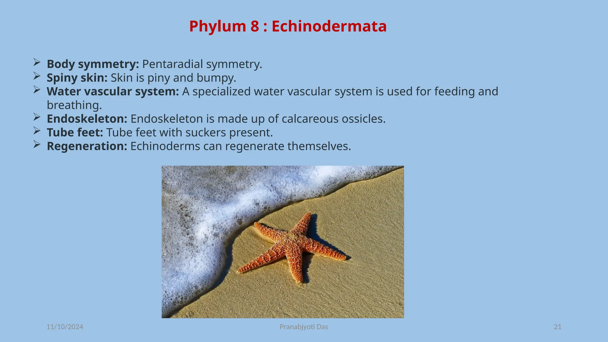 Classification and characters of Invertebrate .pptx