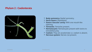 Classification and characters of Invertebrate .pptx