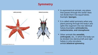 Classification and characters of Invertebrate .pptx