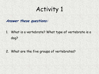 Animal kingdom: vertebrates | PPTX