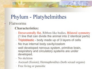 Animal kingom 15 12 14ss | PPT