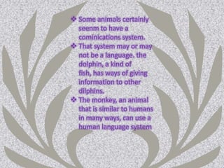 Animal language | PPT