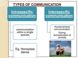 Animal language exposition | PPTX