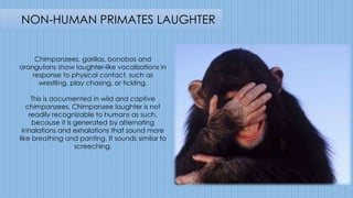 Animals laughter | PPTX