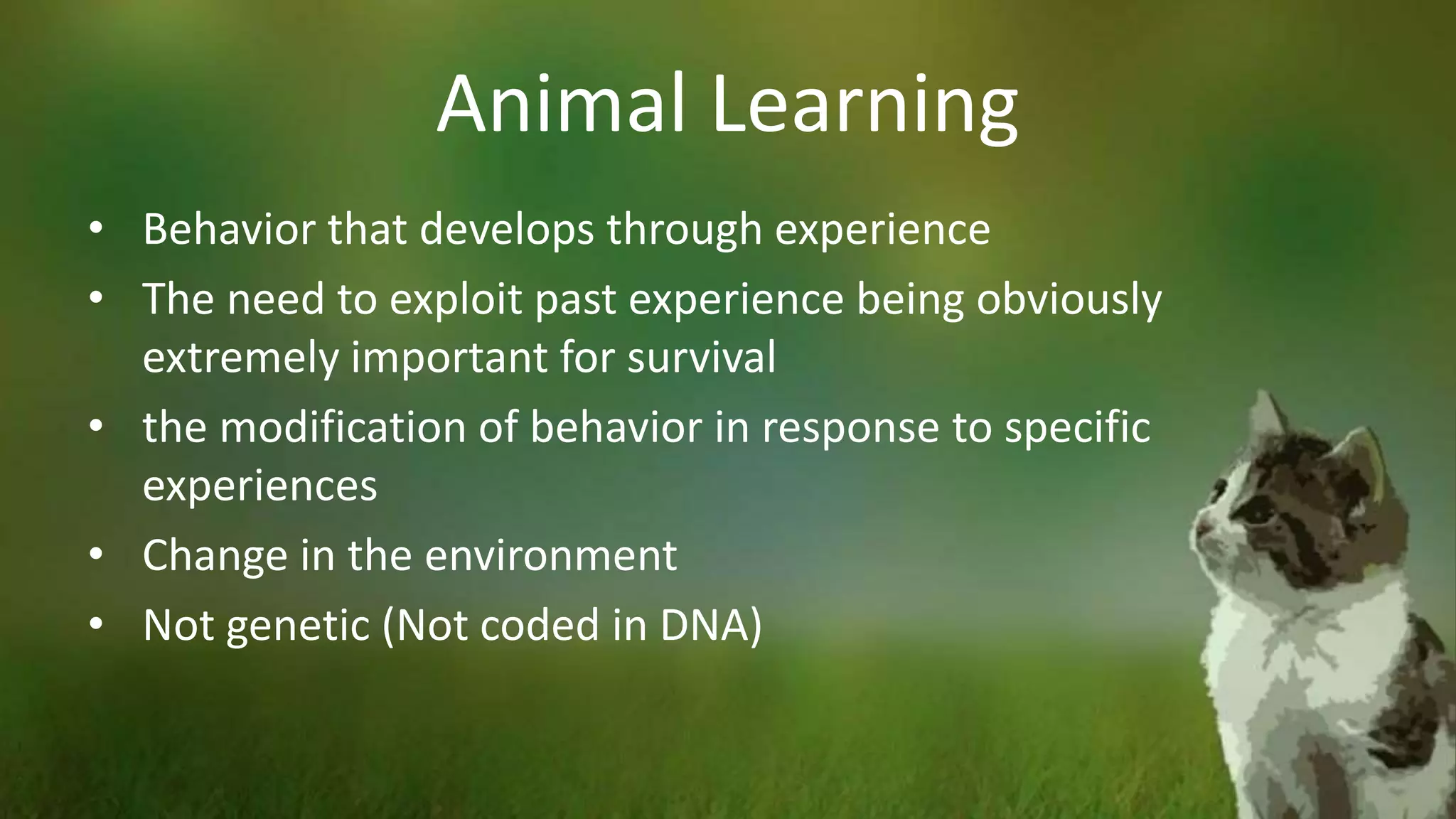 Animal learning by Tahaa Saeed | PPT