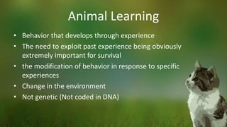 Animal learning by Tahaa Saeed | PPT