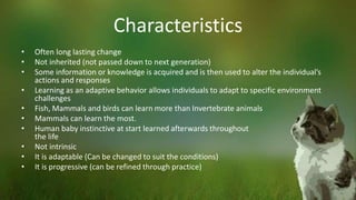 Animal learning by Tahaa Saeed | PPT
