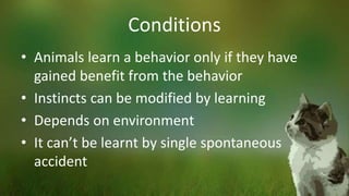 Animal learning by Tahaa Saeed | PPT