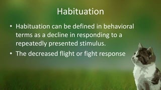 Animal learning by Tahaa Saeed | PPT