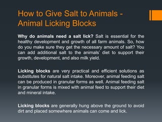 Animal Lick Salt.pptx