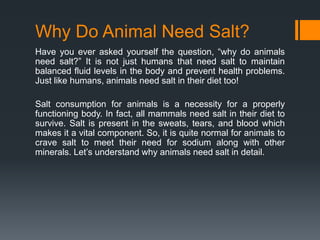 Animal Lick Salt.pptx