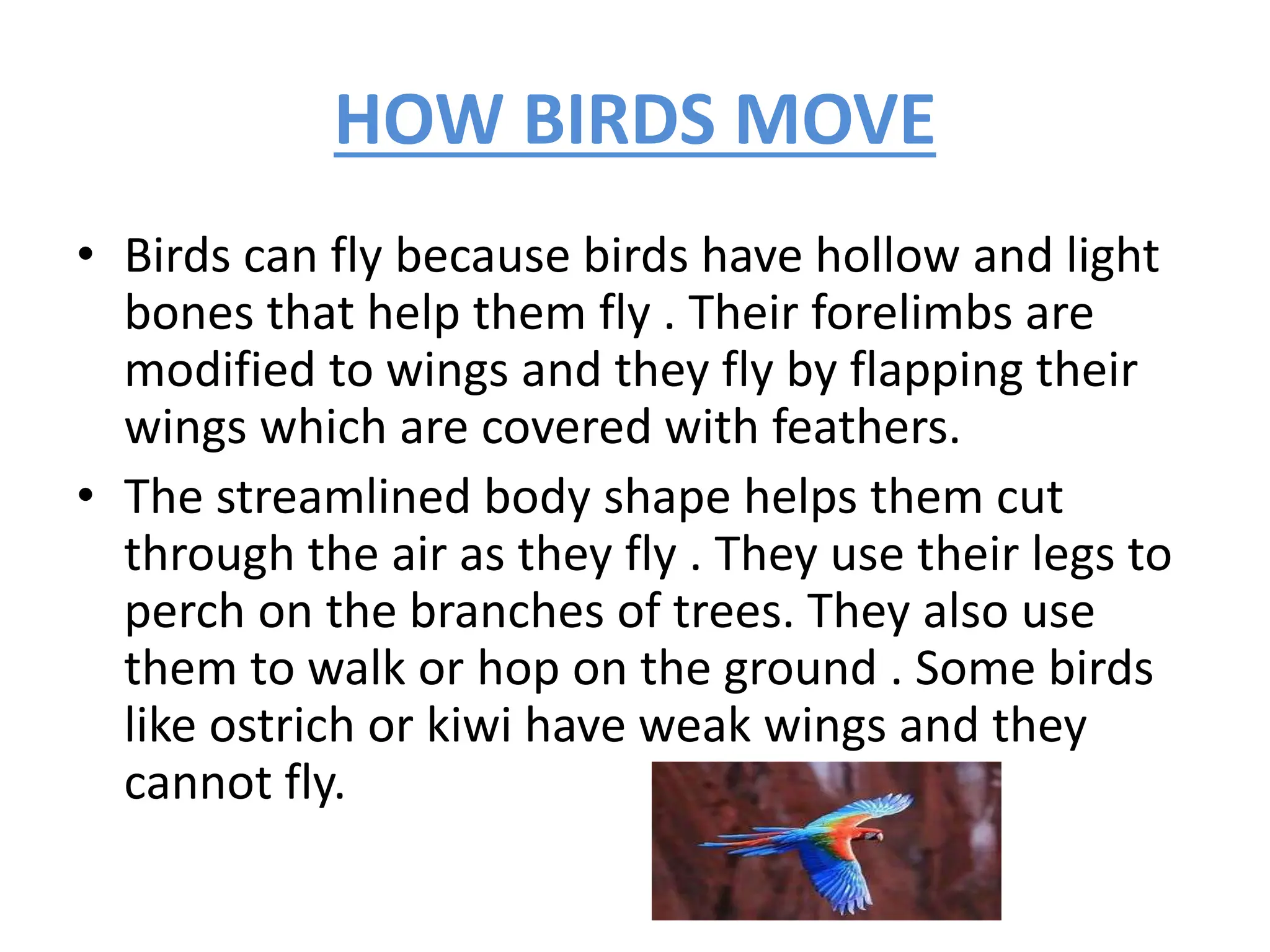 ANIMAL LIFE -REEM-5D.pptxANIMAL LIFE -REEM-5D.pptx