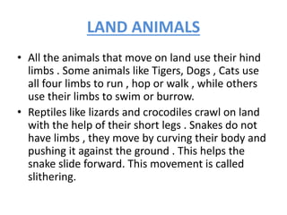 ANIMAL LIFE -REEM-5D.pptxANIMAL LIFE -REEM-5D.pptx