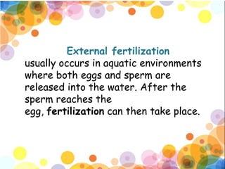 Animal life cycle | PPTX