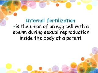 Animal life cycle | PPTX