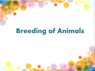 Animal life cycle | PPTX