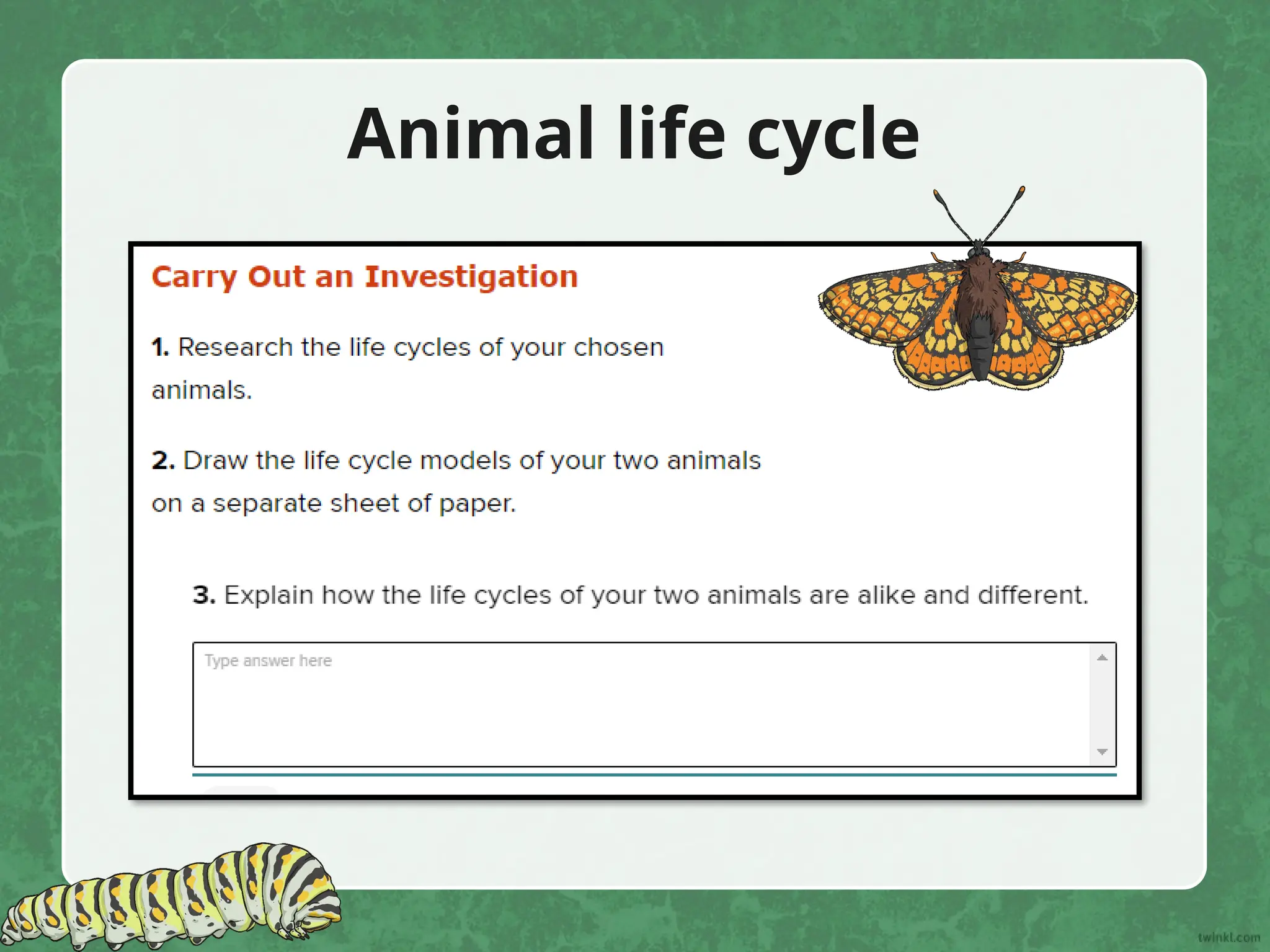 Animal life cycle----------------------- | PPTX