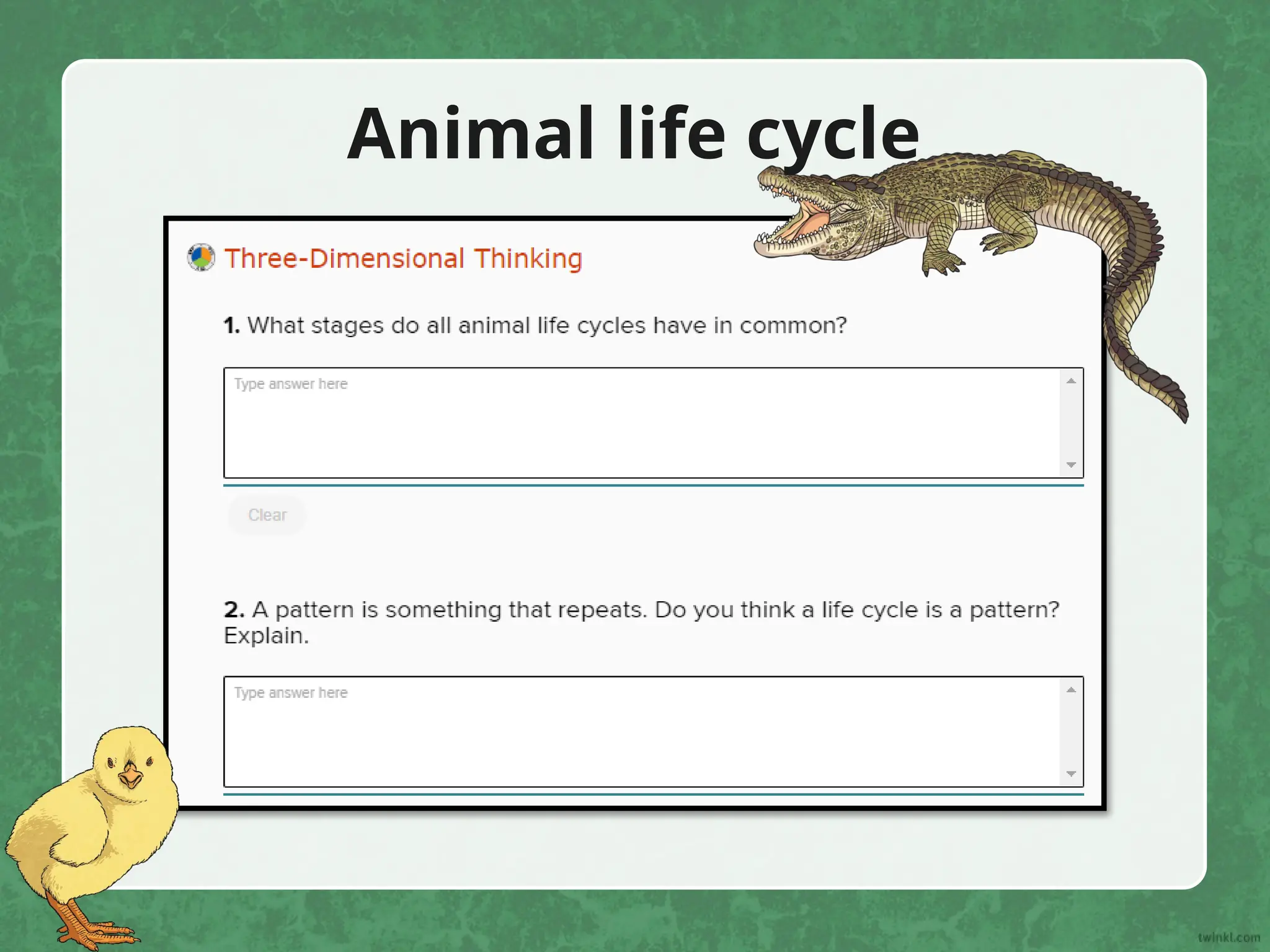 Animal life cycle----------------------- | PPTX