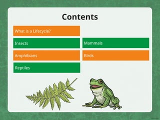 Animal life cycle----------------------- | PPTX