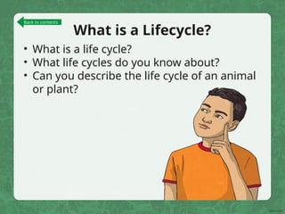 Animal life cycle----------------------- | PPTX