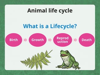 Animal life cycle----------------------- | PPTX