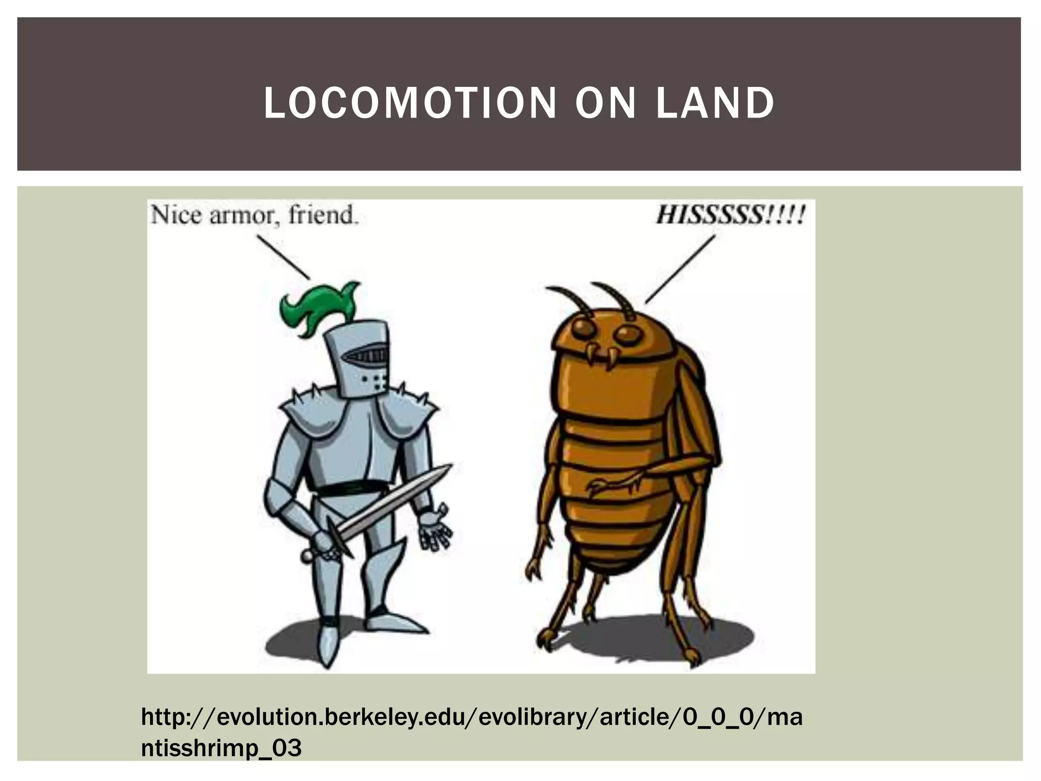 Animal Locomotion Presentation | PPTX