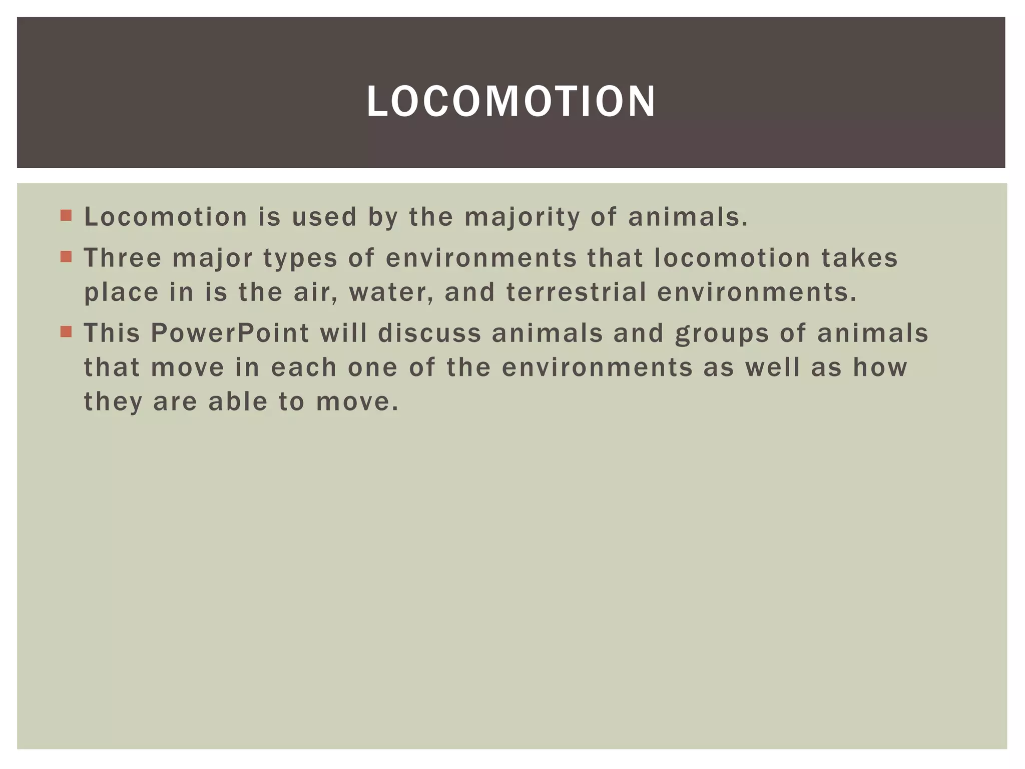 Animal Locomotion Presentation | PPTX