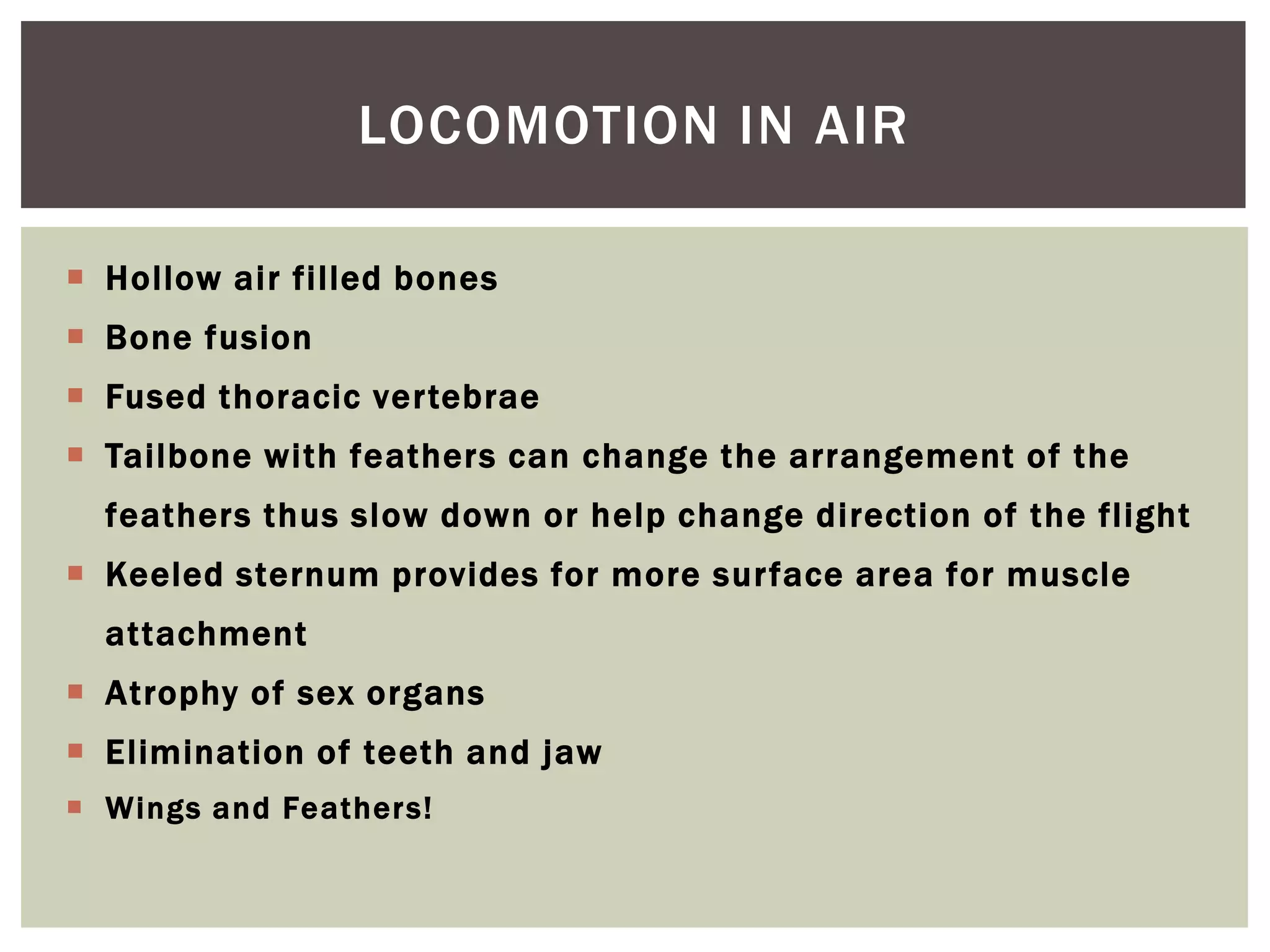 Animal Locomotion Presentation | PPTX