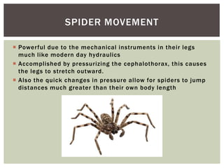 Animal Locomotion Presentation | PPTX