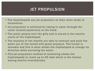 Animal Locomotion Presentation | PPTX