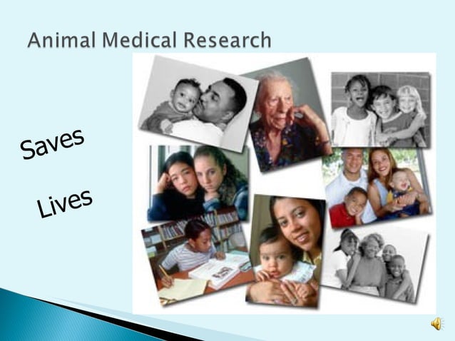 Animal Medical Research Presentation | PPT | Medical Health