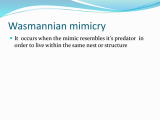 Animal mimicry | PPTX