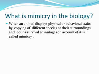 Animal mimicry | PPTX