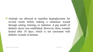 Animal model – chronic wounds by Dr Vishal.pptx
