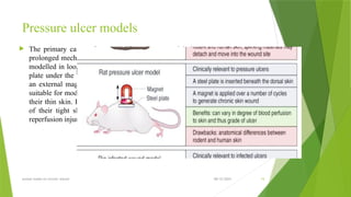 Animal model – chronic wounds by Dr Vishal.pptx