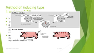 Animal model – chronic wounds by Dr Vishal.pptx