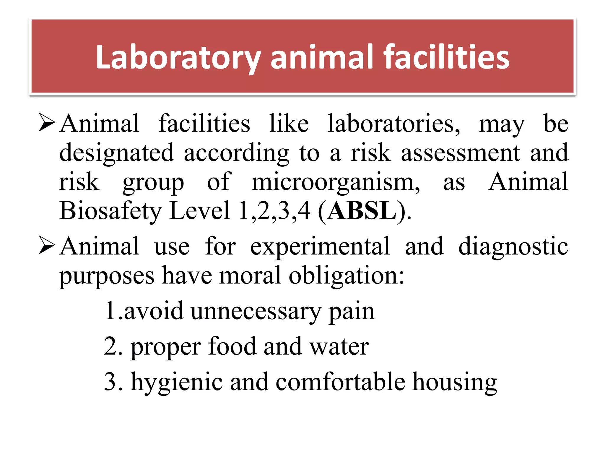 Animal model of research by zareen | PPTX