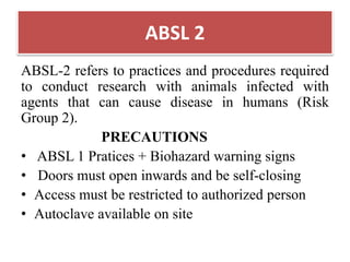 Animal model of research by zareen | PPTX