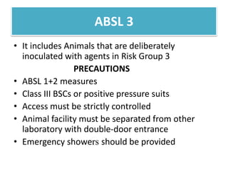 Animal model of research by zareen | PPTX