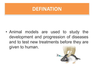 Animal model of research by zareen | PPTX