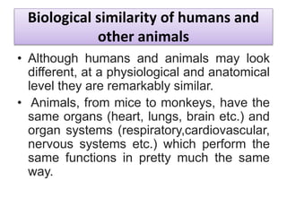 Animal model of research by zareen | PPTX