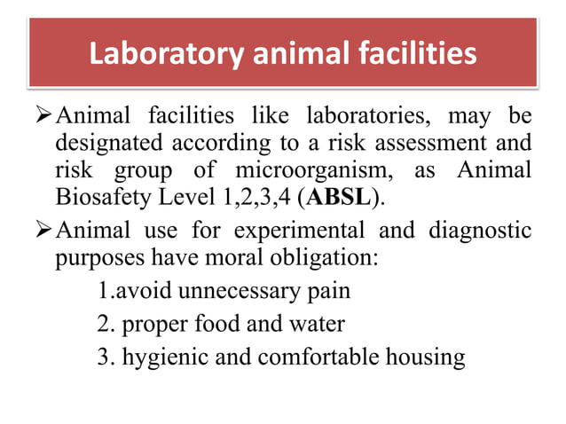 Animal model of research by zareen | PPTX