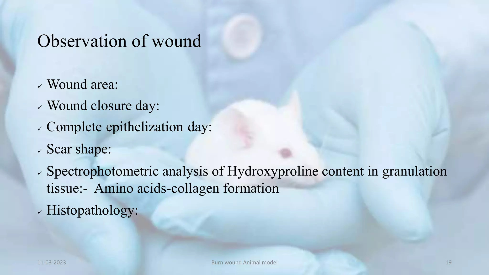 ANIMAL MODEL ON BURN WOUND.pptx