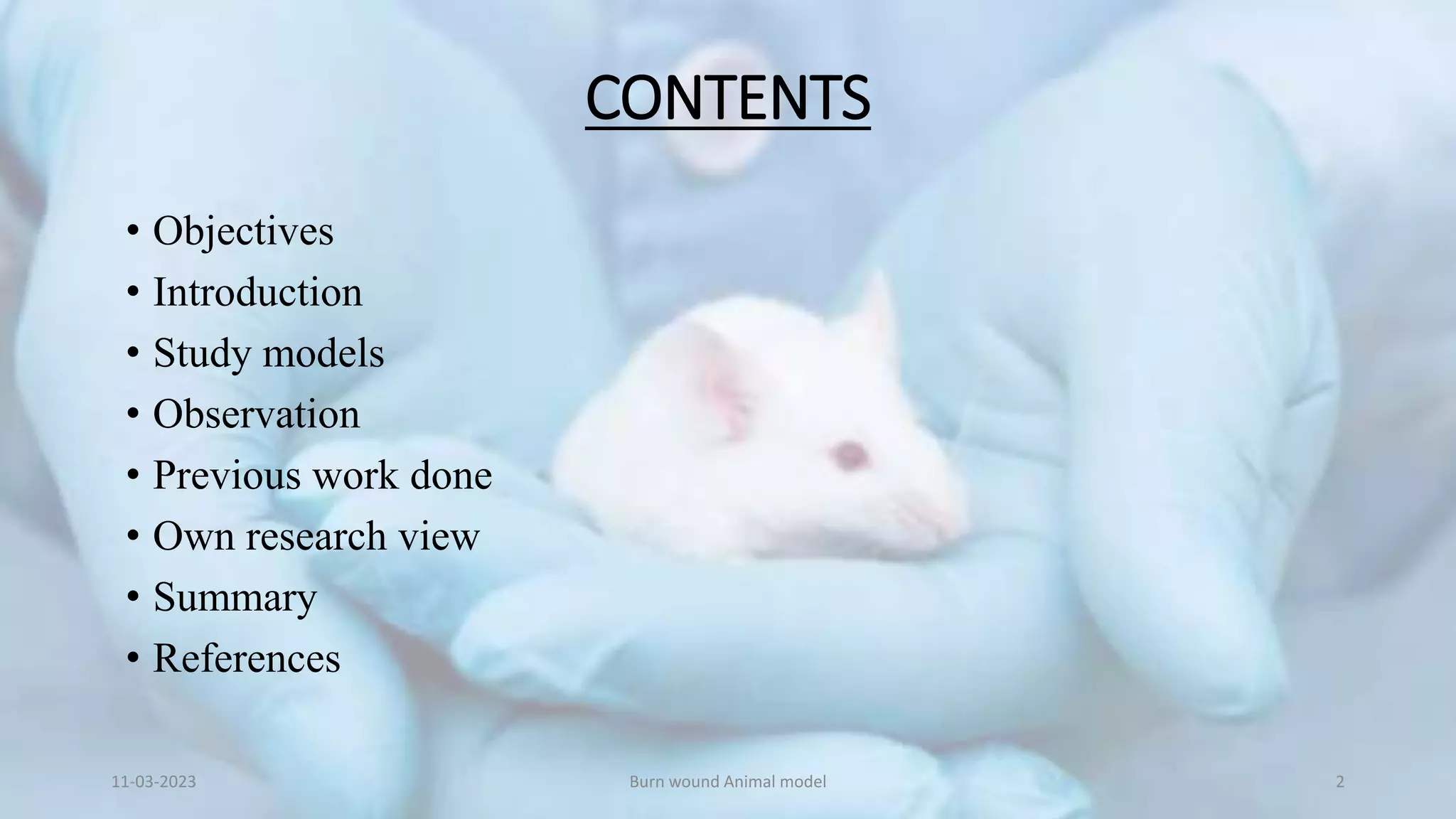 ANIMAL MODEL ON BURN WOUND.pptx
