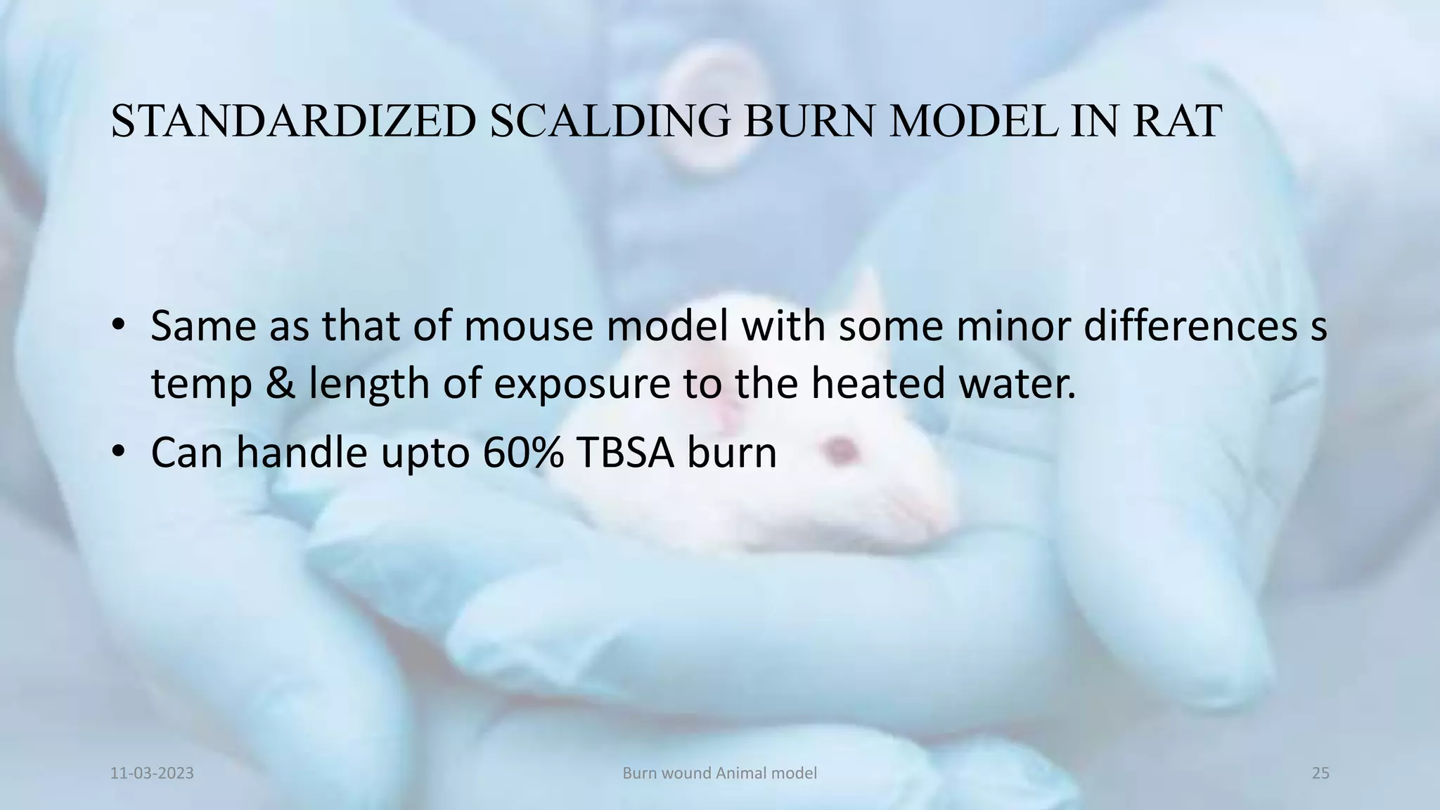 ANIMAL MODEL ON BURN WOUND.pptx