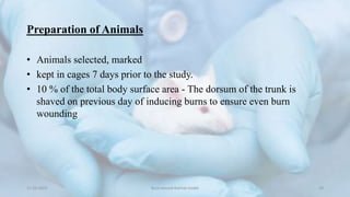 ANIMAL MODEL ON BURN WOUND.pptx