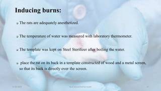ANIMAL MODEL ON BURN WOUND.pptx