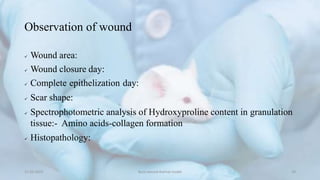 ANIMAL MODEL ON BURN WOUND.pptx