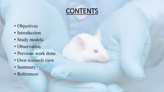 ANIMAL MODEL ON BURN WOUND.pptx