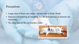 ANIMAL MODEL ON BURN WOUND.pptx